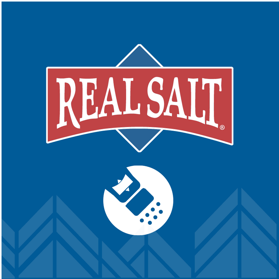 Buy Redmond Real Salt's Organic Garlic Salt 234g — Carnivore Store